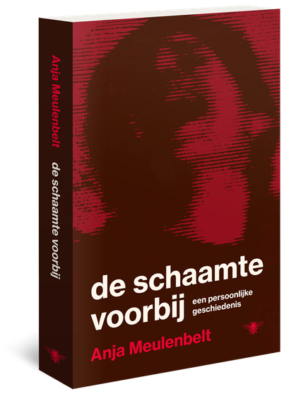 De schaamte voorbij - Anja Meulenbelt - De Bezige Bij