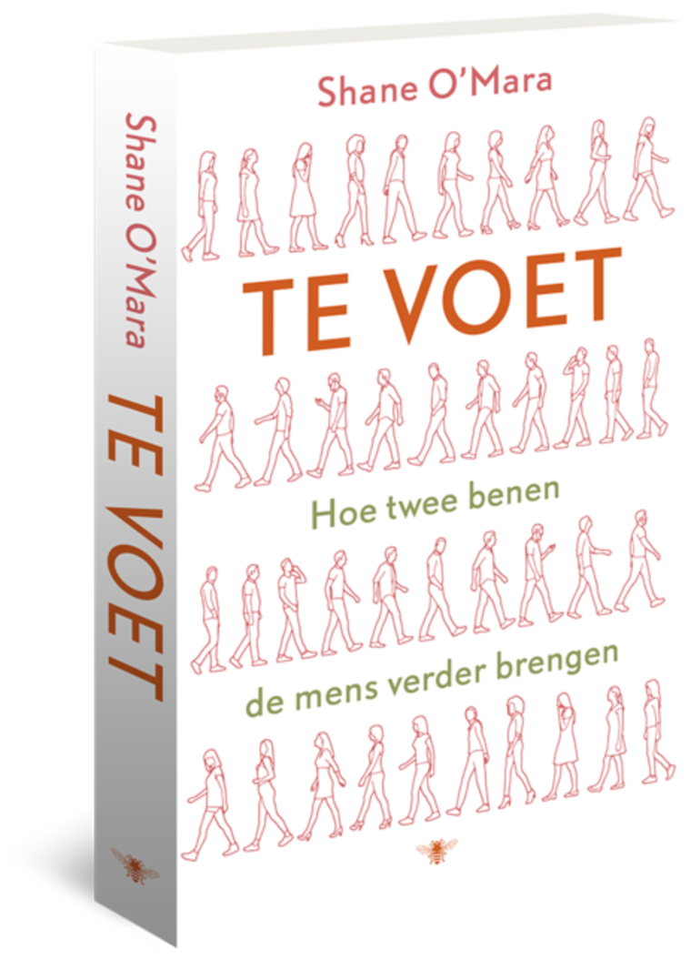 Te voet - Shane O’Mara - De Bezige Bij