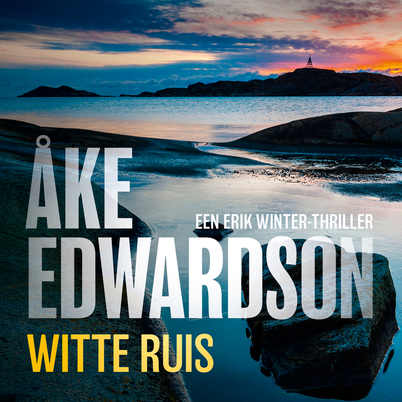 Witte ruis - Åke Edwardson - A.W. Bruna Uitgevers